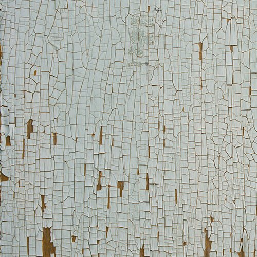 How To Fix Alligatoring Walls