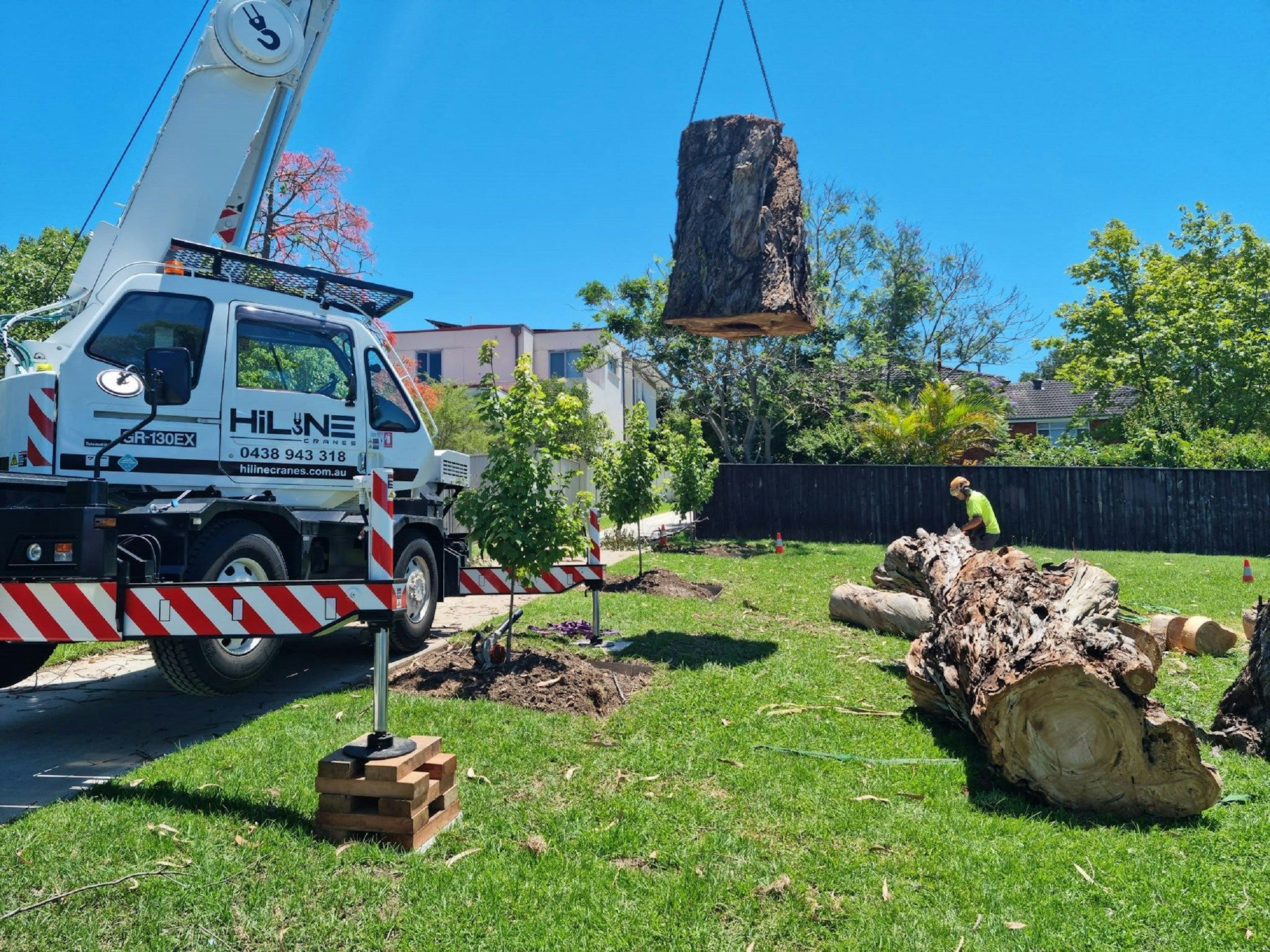 Making Your Yard Safe with Tree Removal