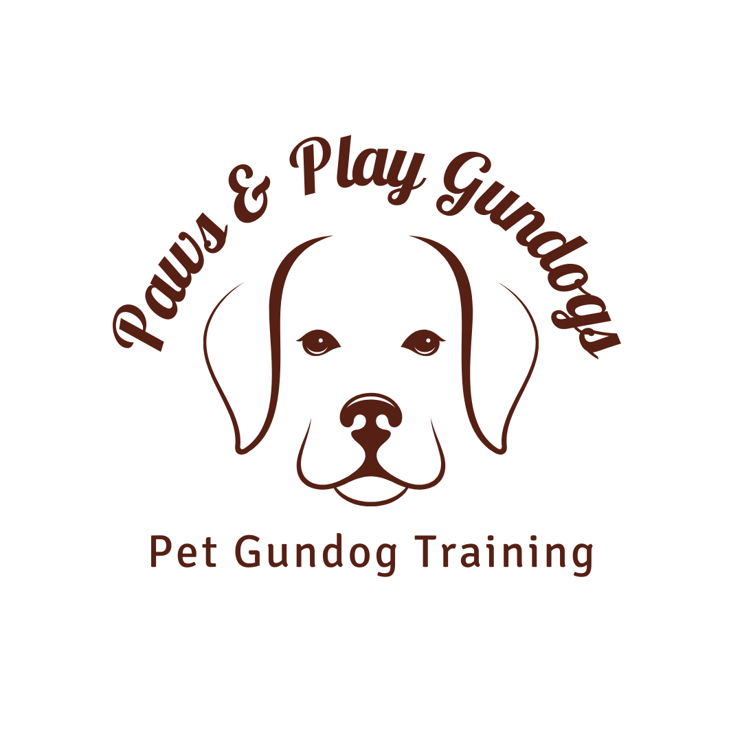 PAWS & PLAY GUNDOGS - TRAINNG IN BAKEWELL & SHEFFIELD