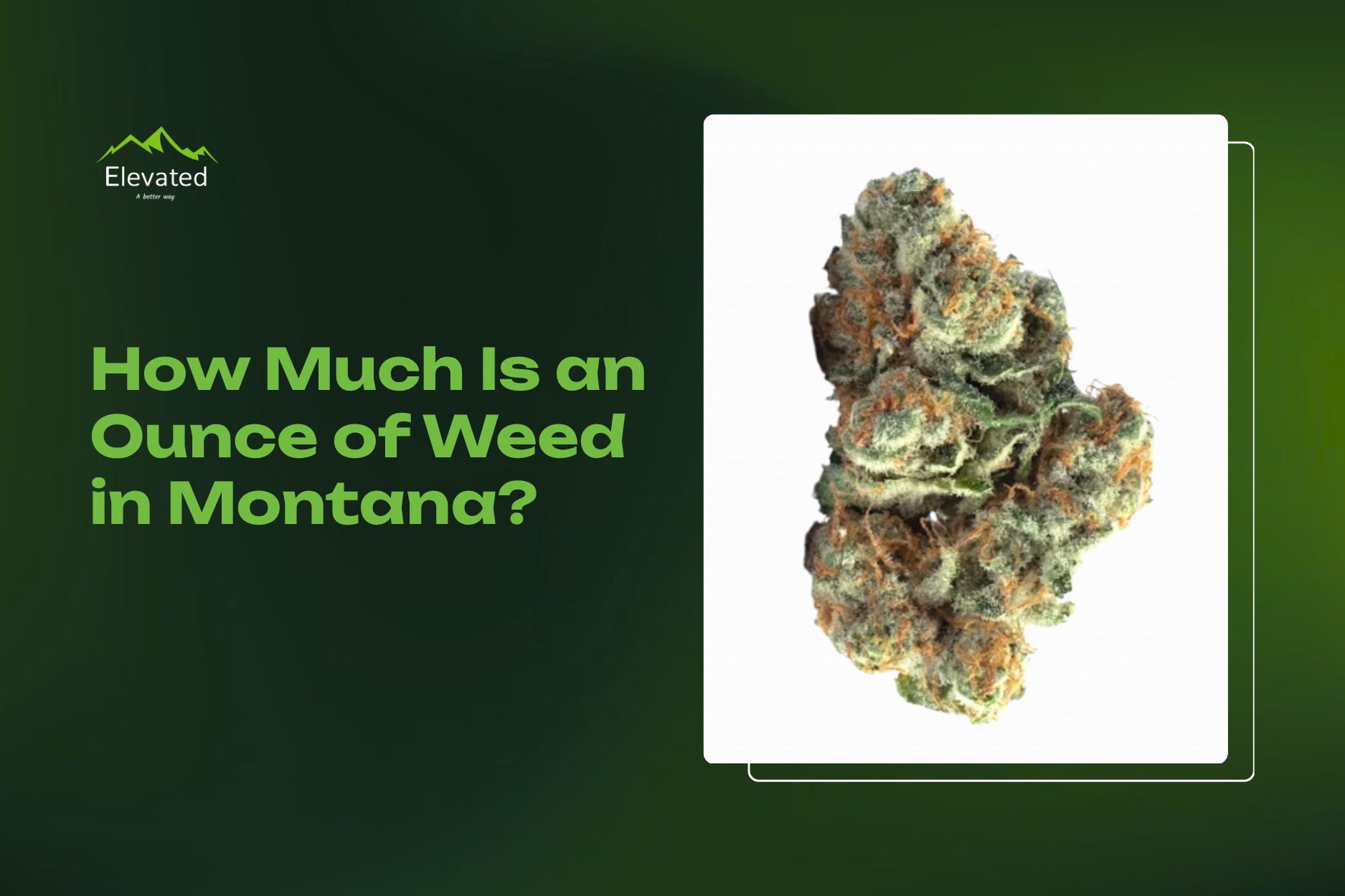 How Much Is an Ounce of Weed in Montana? | Elevated