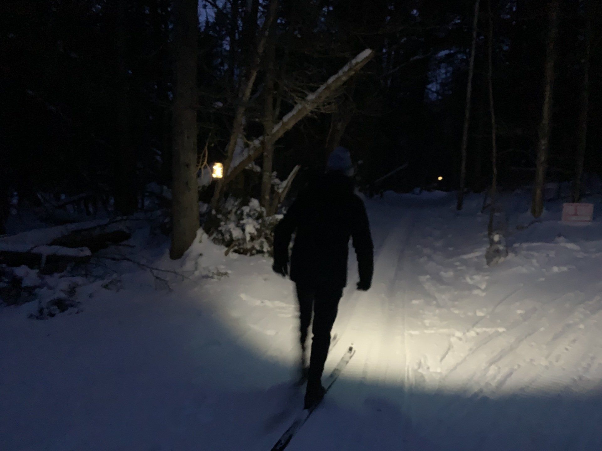 Torchlit Trail Experience Take 2 🎬