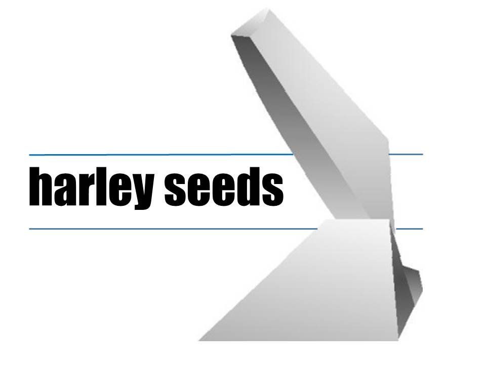 Information - Senova