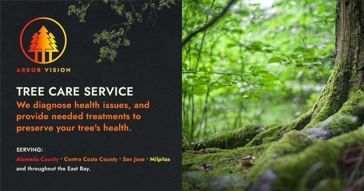 Tree Care Service • Arbor Vision, Inc. • San Ramon, CA