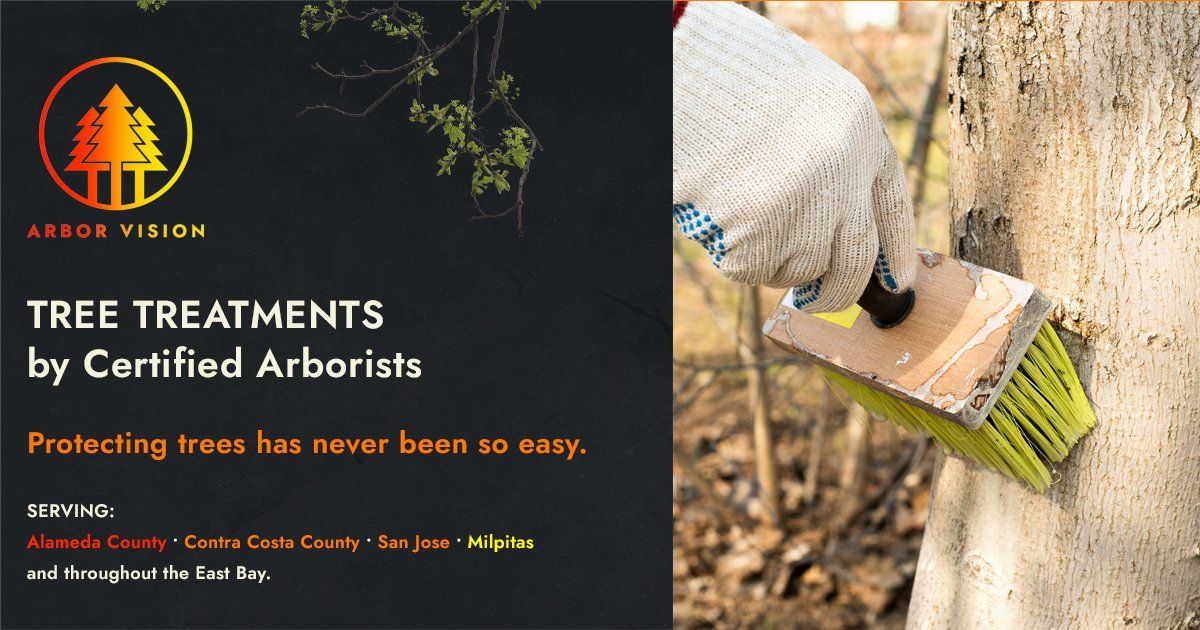 Tree Disease Specialist • Arbor Vision, Inc. • San Ramon, CA