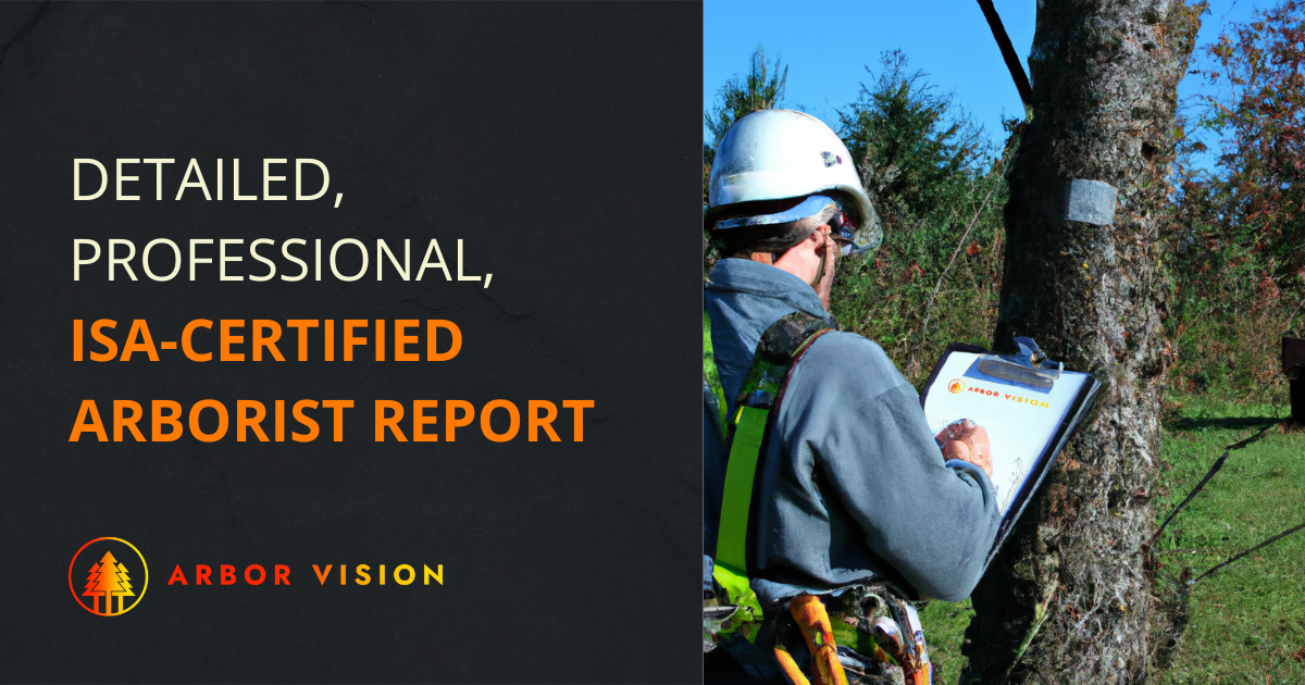 Municipal Tree Removal Permit Arborist Reports • Arbor Vision, Inc