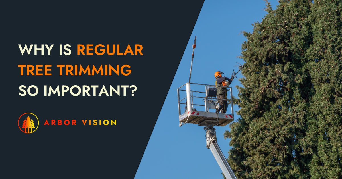 Regular Tree Trimming: Importance, Benefits and How-To Guide