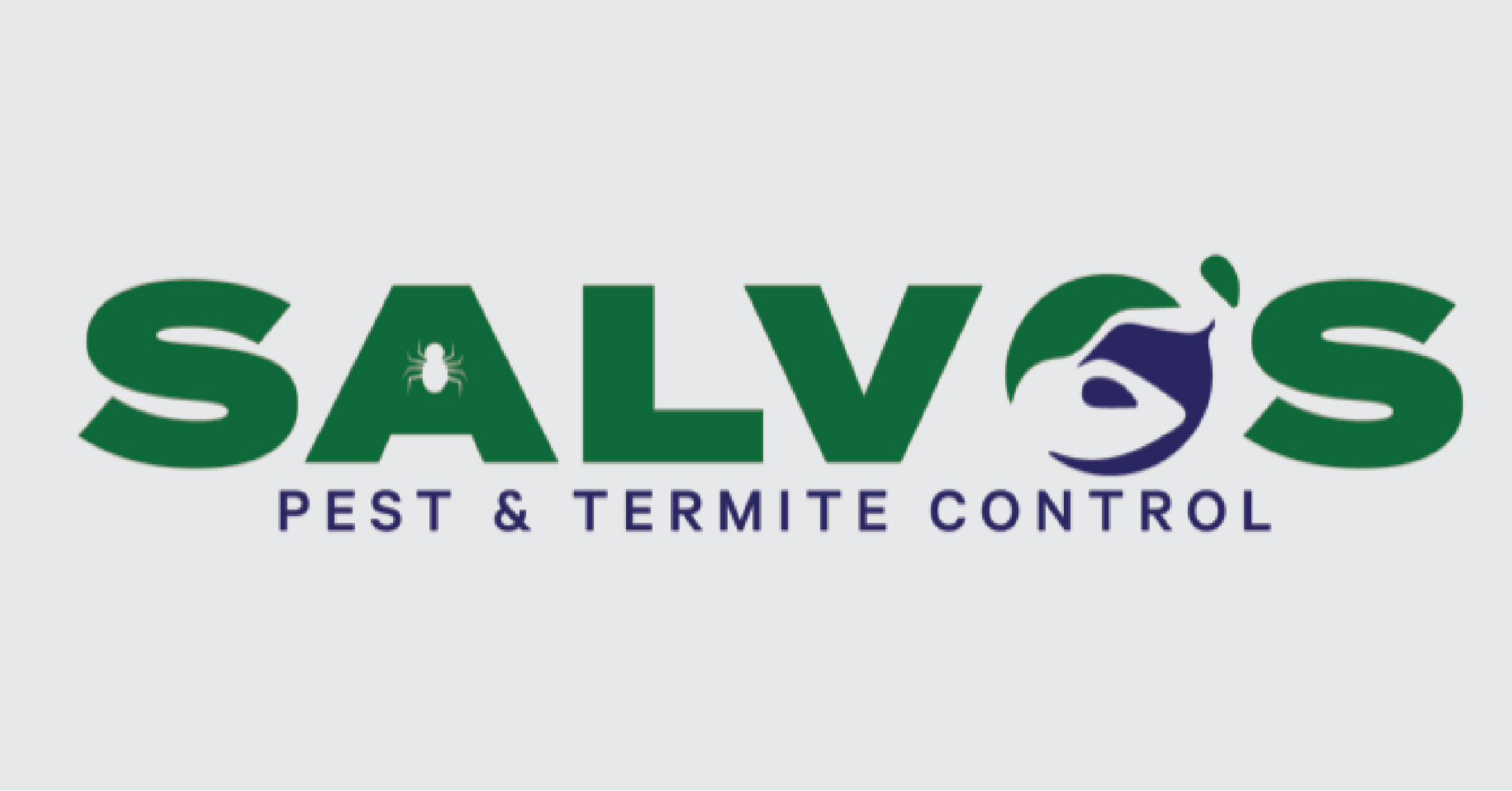 Pest Control in St. Charles, MO | Salvo’s Pest & Termite Control
