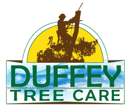 Professional Tree Service | Brandon, FL | Duffey Tree Care