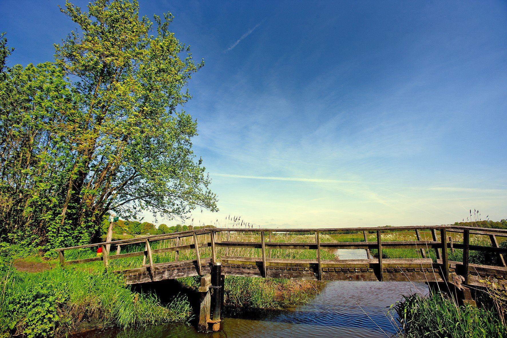 Natuur in de regio Hardenberg