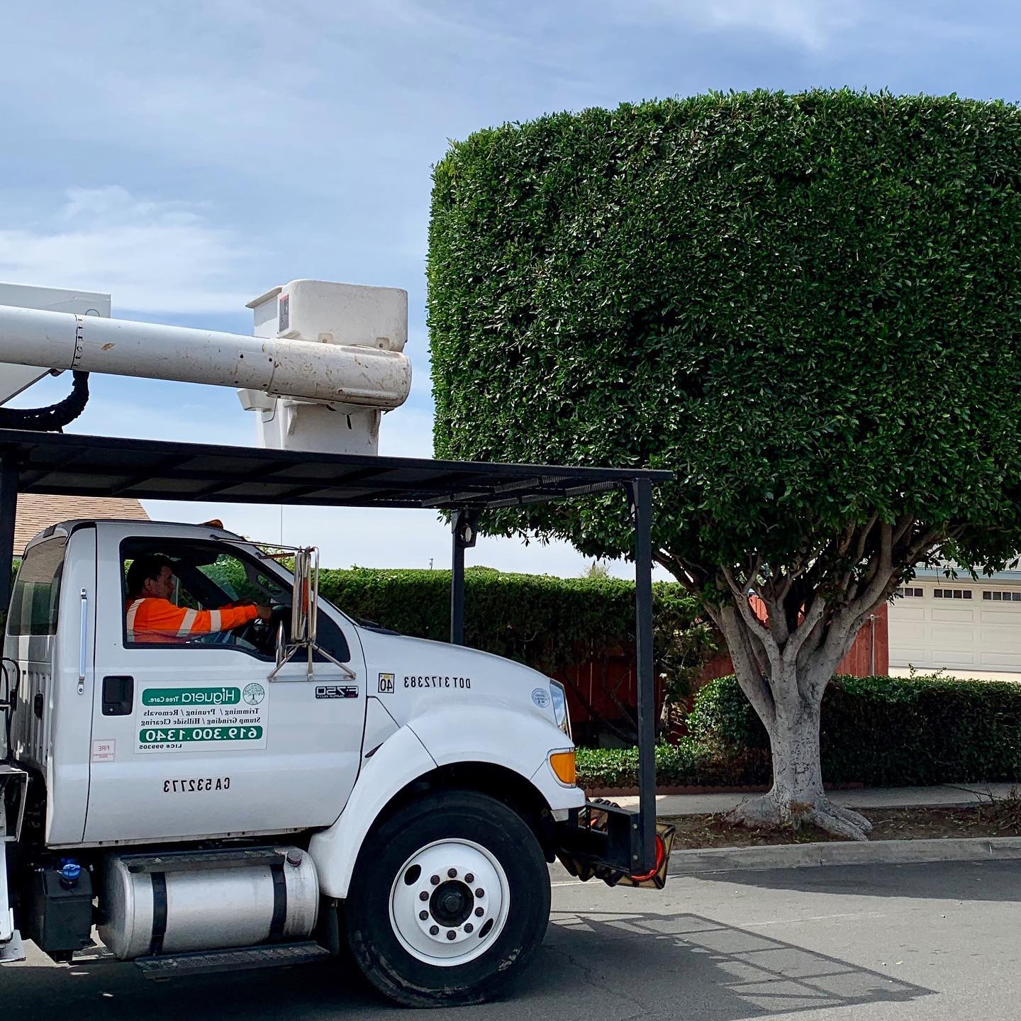 #1 Tree Service San Diego CA | Tree Removal San Diego CA