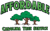 Columbia, SC | Affordable Carolina Tree Service