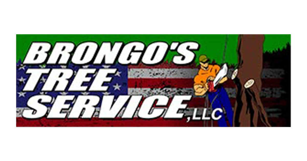 Tree Cutting Service | Rochester, NY | Brongo’s Tree Service