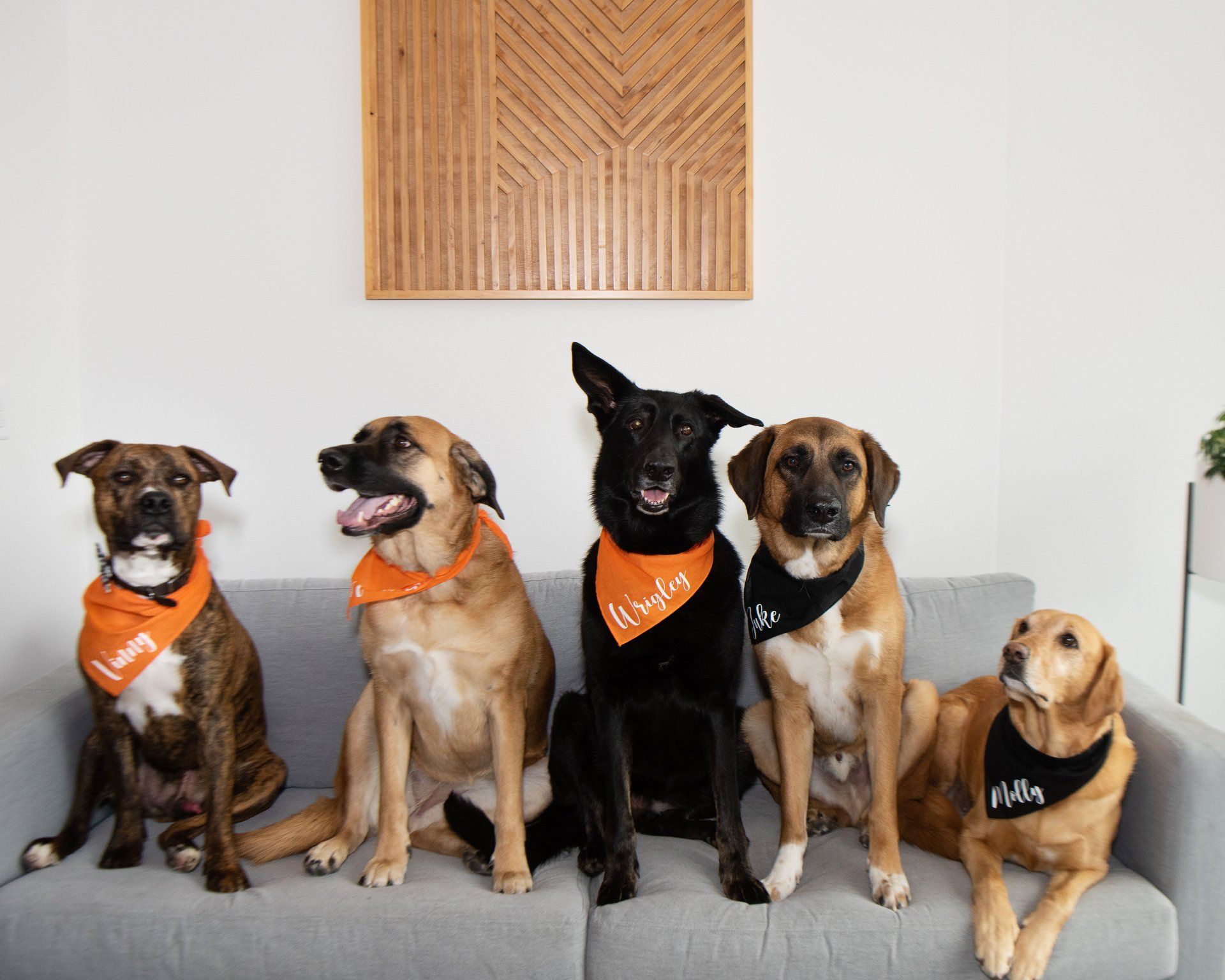 Fox Property Management | Family Owned and Operated