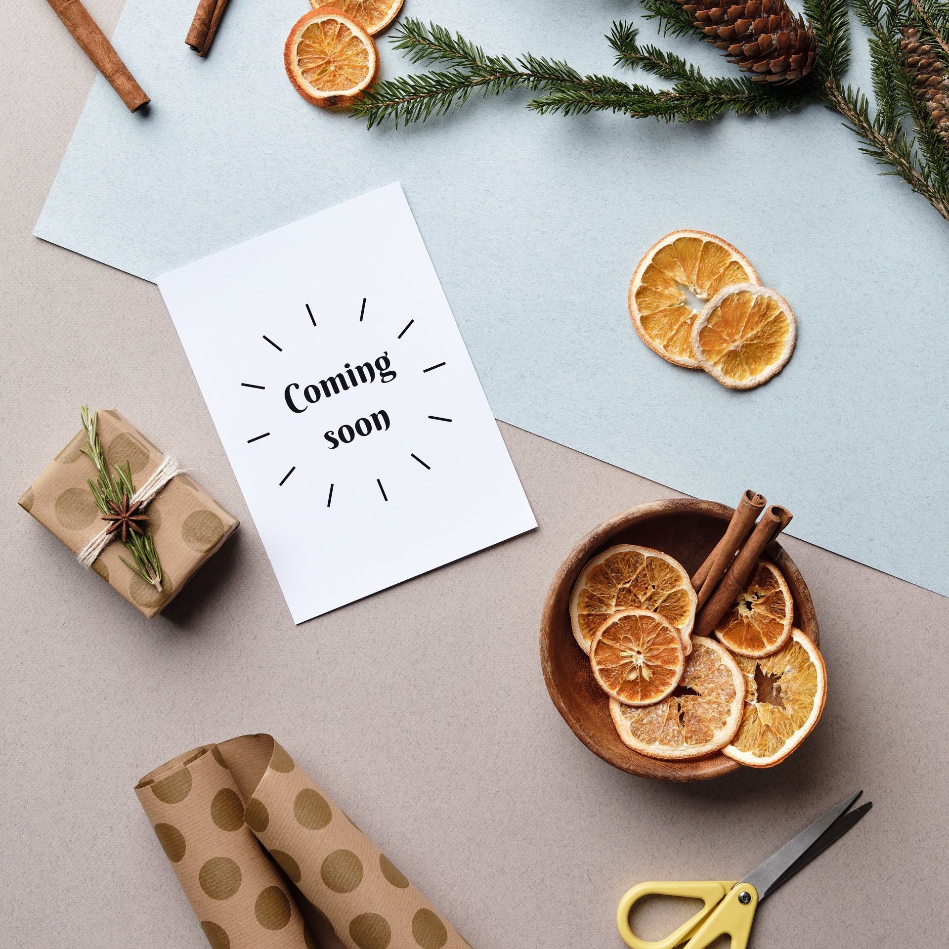 Meet the Team at Fox Property Management