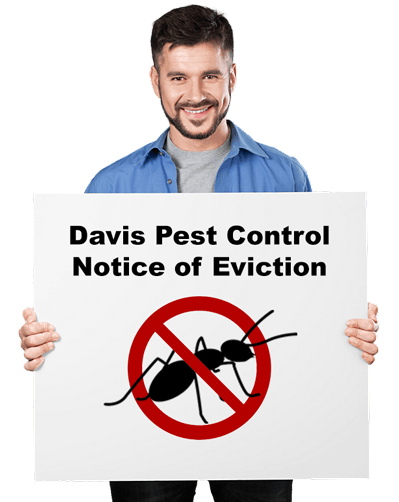 Davis Pest Control Services | Exterminator | Liberal, KS - Guymon, OK