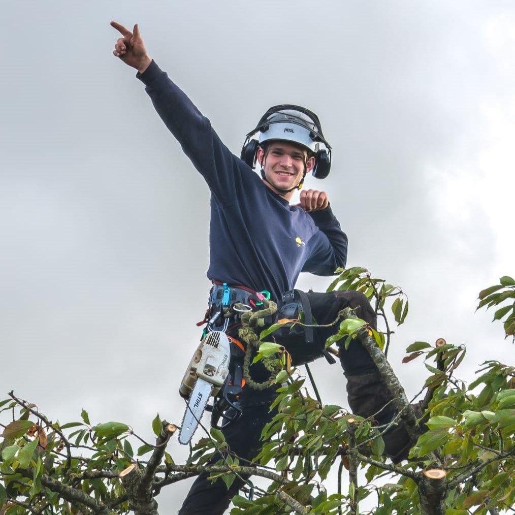 Team | Chris Arnold Tree Surgery | Gloucestershire