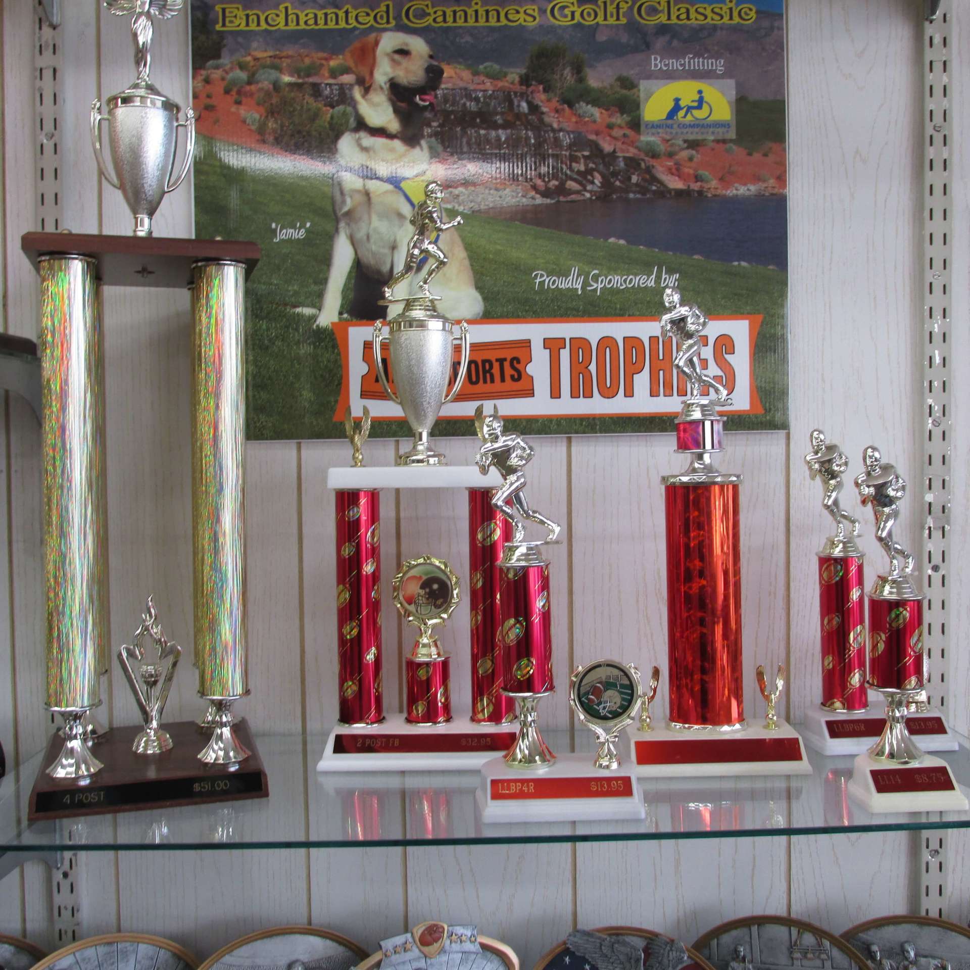 Pins and Plaques | Albuquerque, NM | All Sports Trophies Inc.