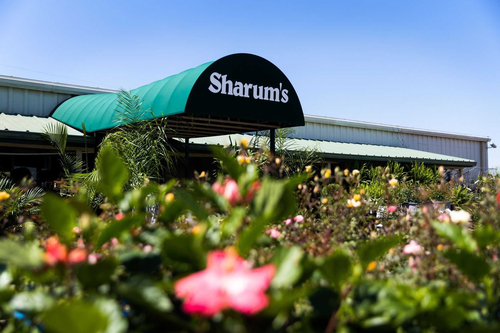 About | Fort Smith, AR | Sharum's Garden Center