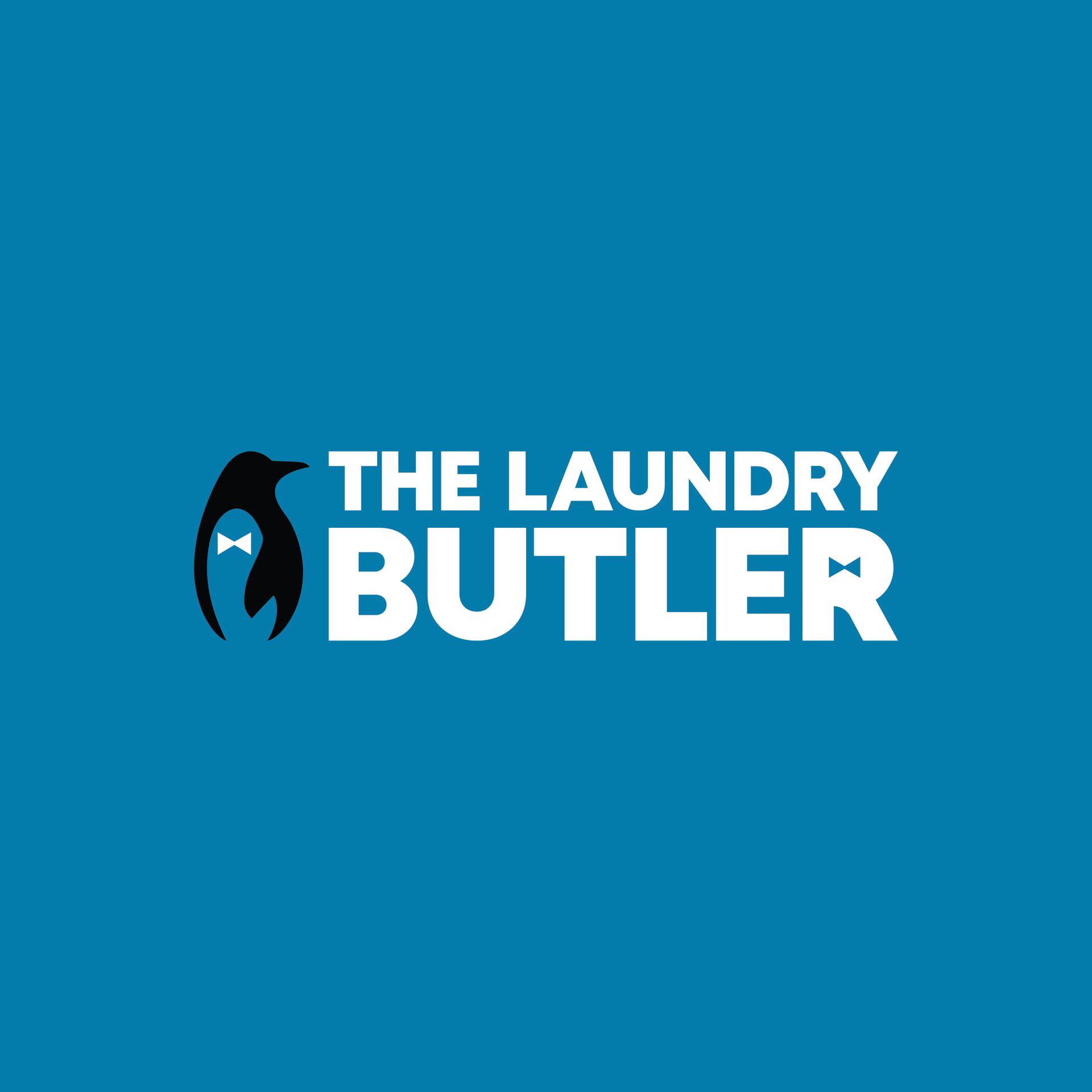 The Laundry Butler