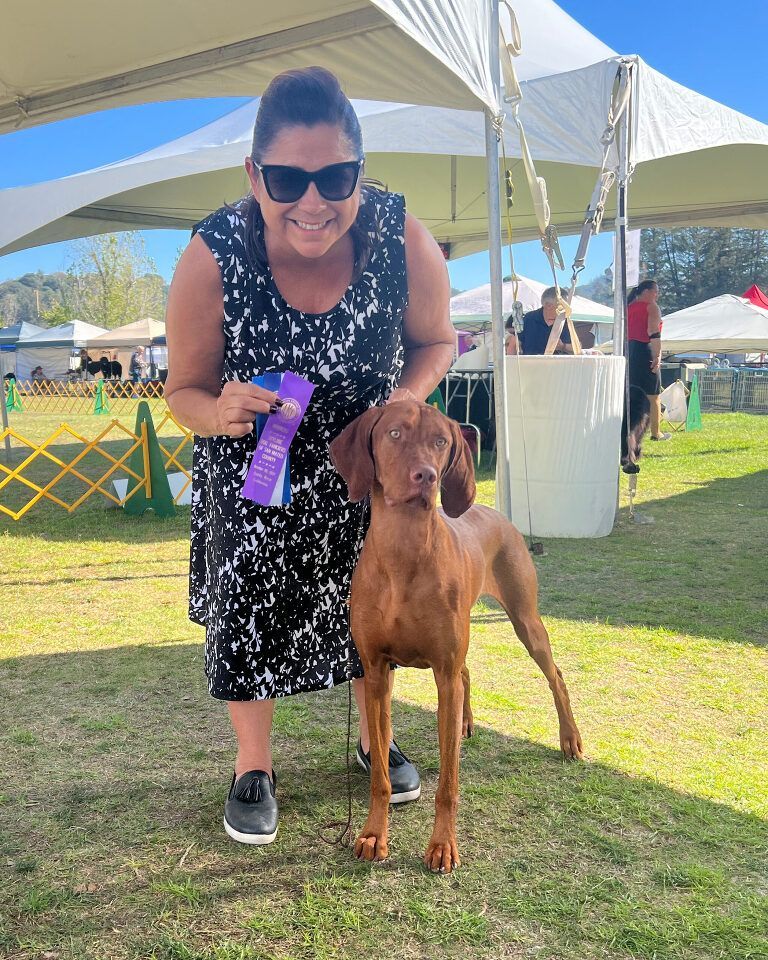 Violet goes Best of Winners x2 (for a Major) and Ripley wins Select Dog ...