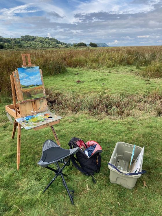 Simon Goss MA (Tirluniwr) - Welsh landscape Art