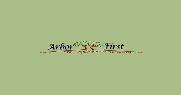 Tree Arborist | Arbor First
