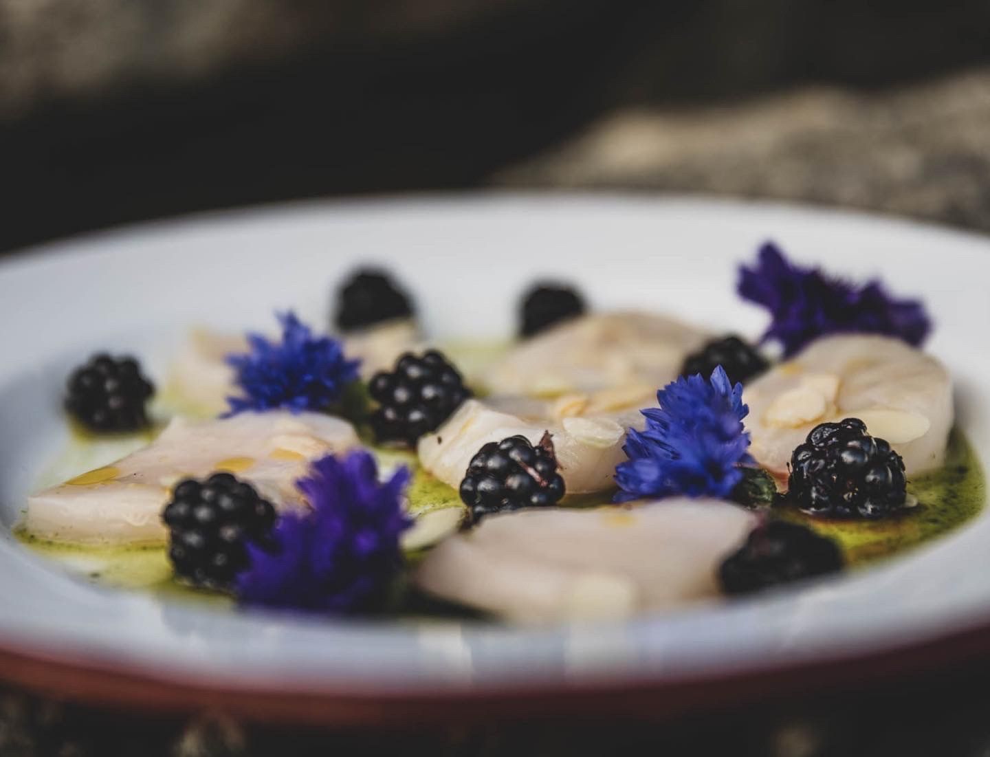 Wild Kabn Kitchen | Exploring The Connection Between Food, Fire and Nature