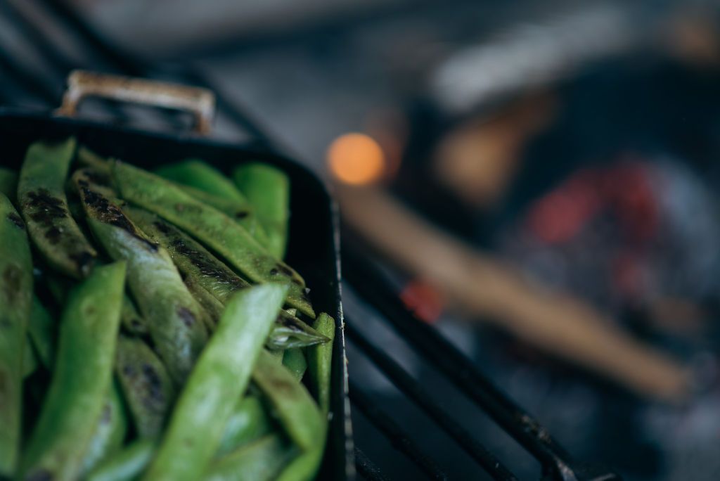 Wild Cooking Gallery: Explore Culinary Adventures in Nature's Kitchen