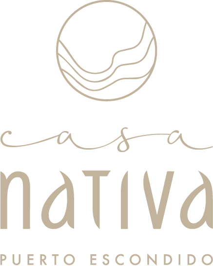 Nativa Logo Marca Banda Banana Nativa (10) | Images :: Behance