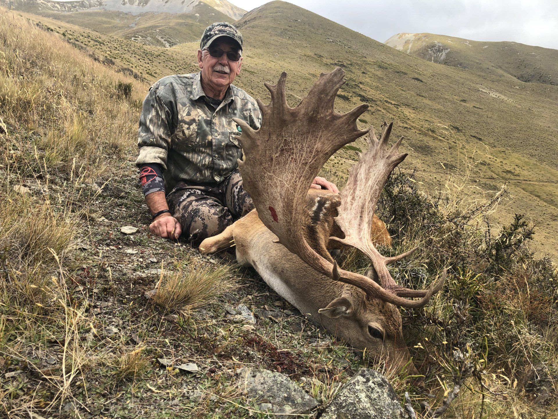 Fallow Buck Hunting in New Zealand with Lochinvar Safaris