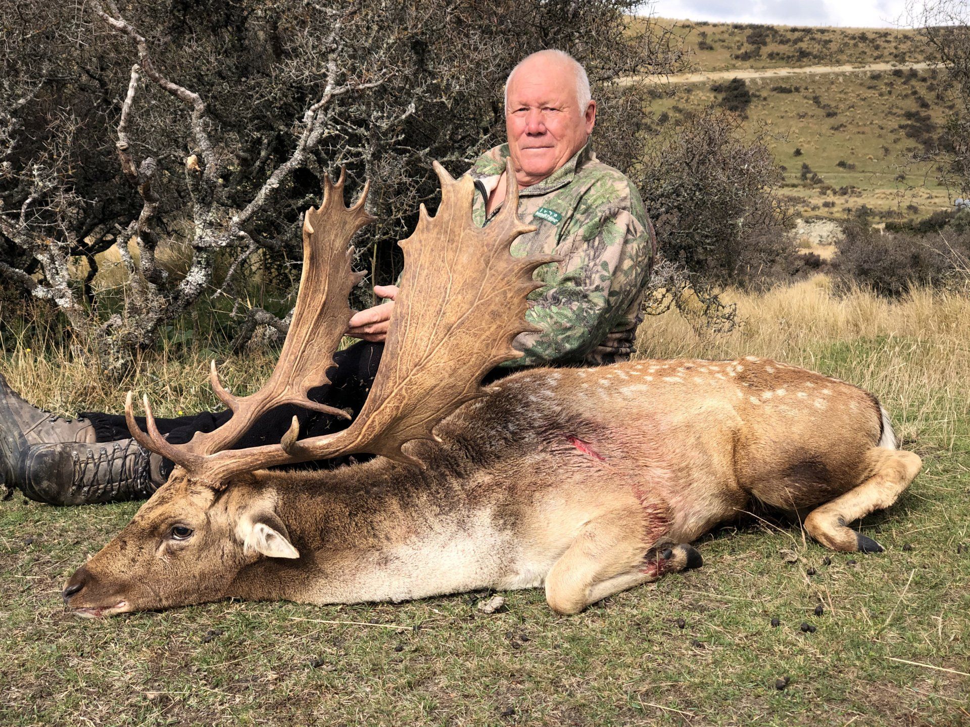 Fallow Buck Hunting in New Zealand with Lochinvar Safaris