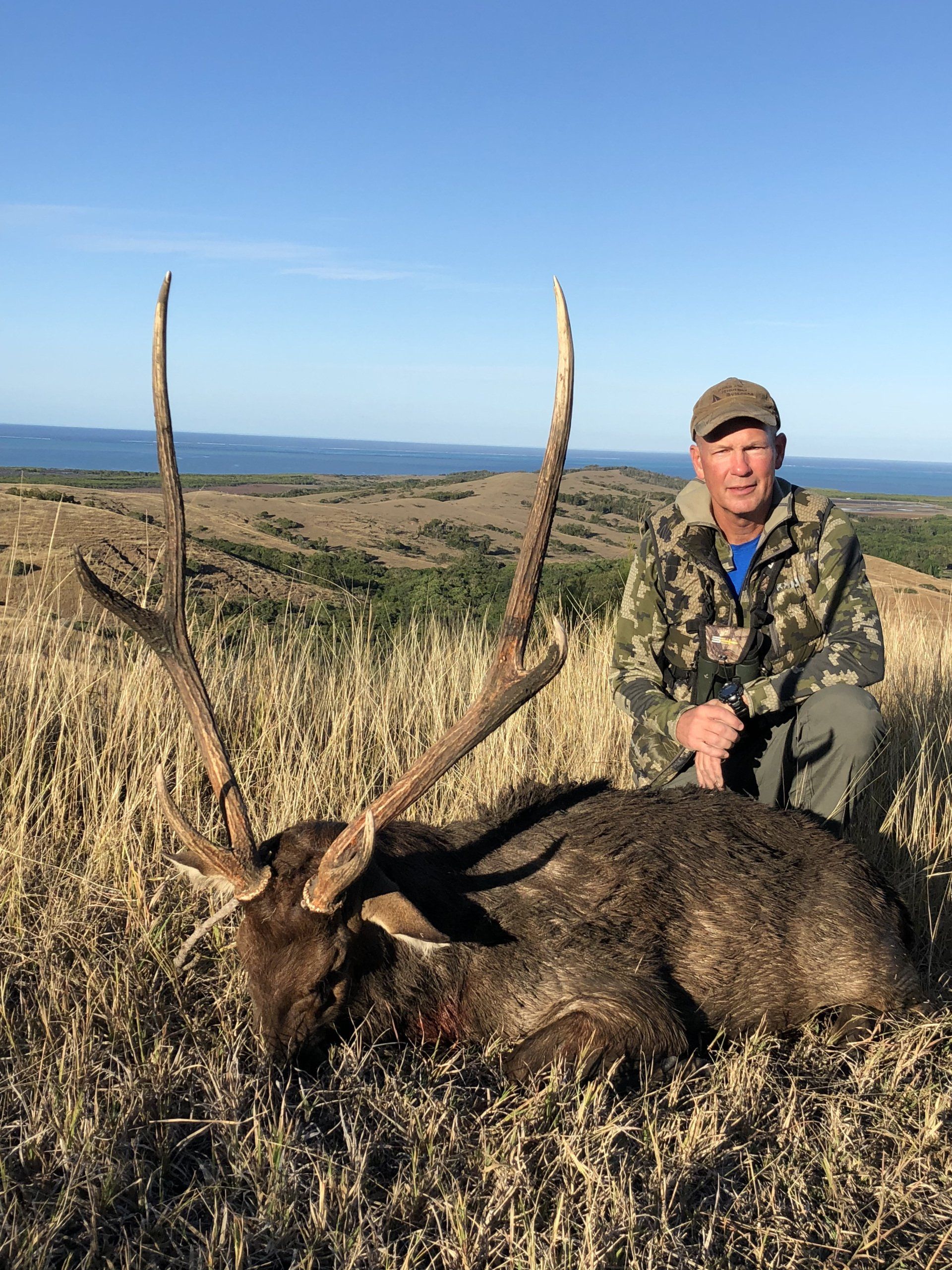 Rusa Deer hunting with Lochinvar Safaris, New Zealand
