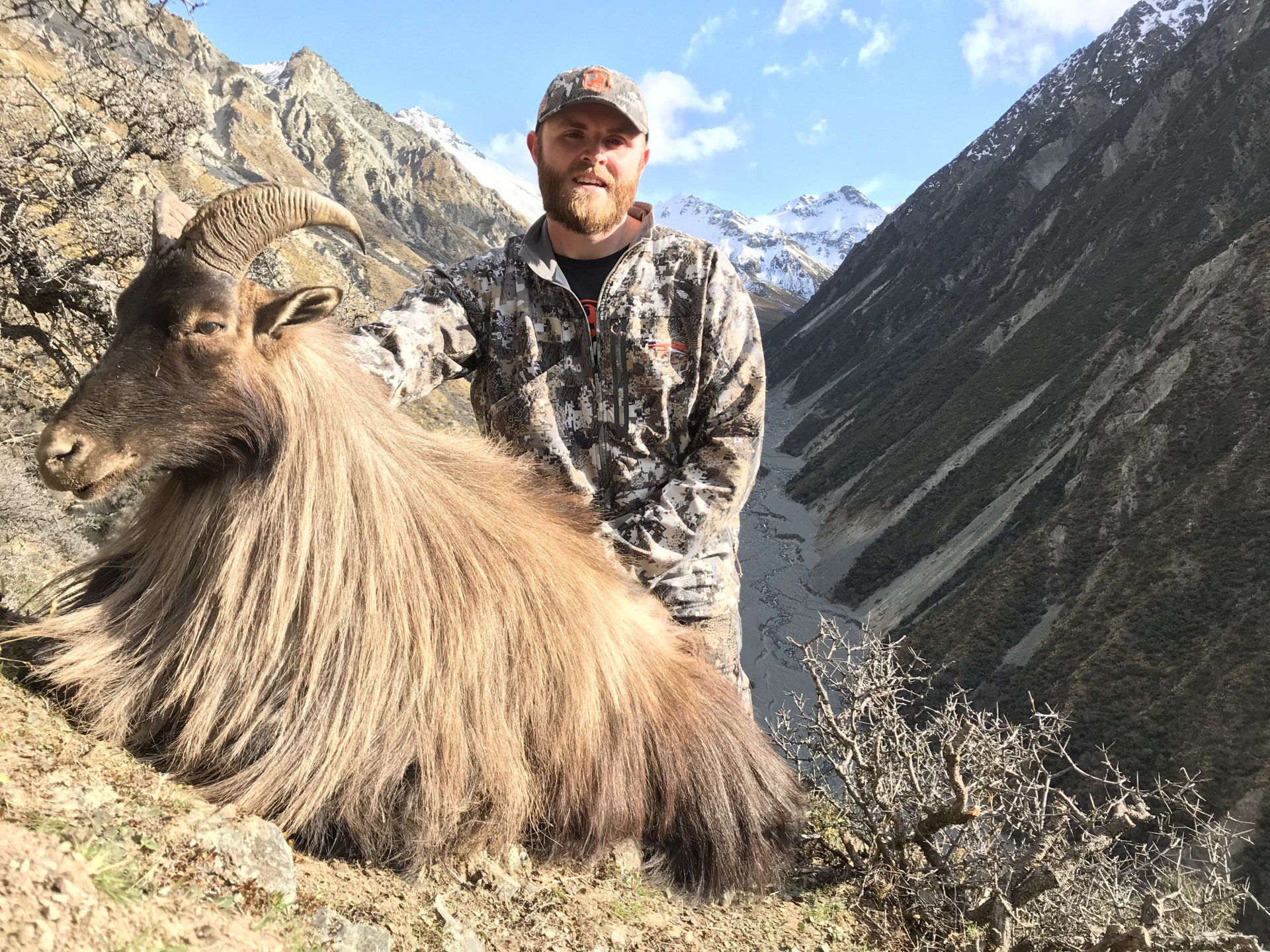 Hunt for Himalayan Tahr - Lochinvar Safaris New Zealand