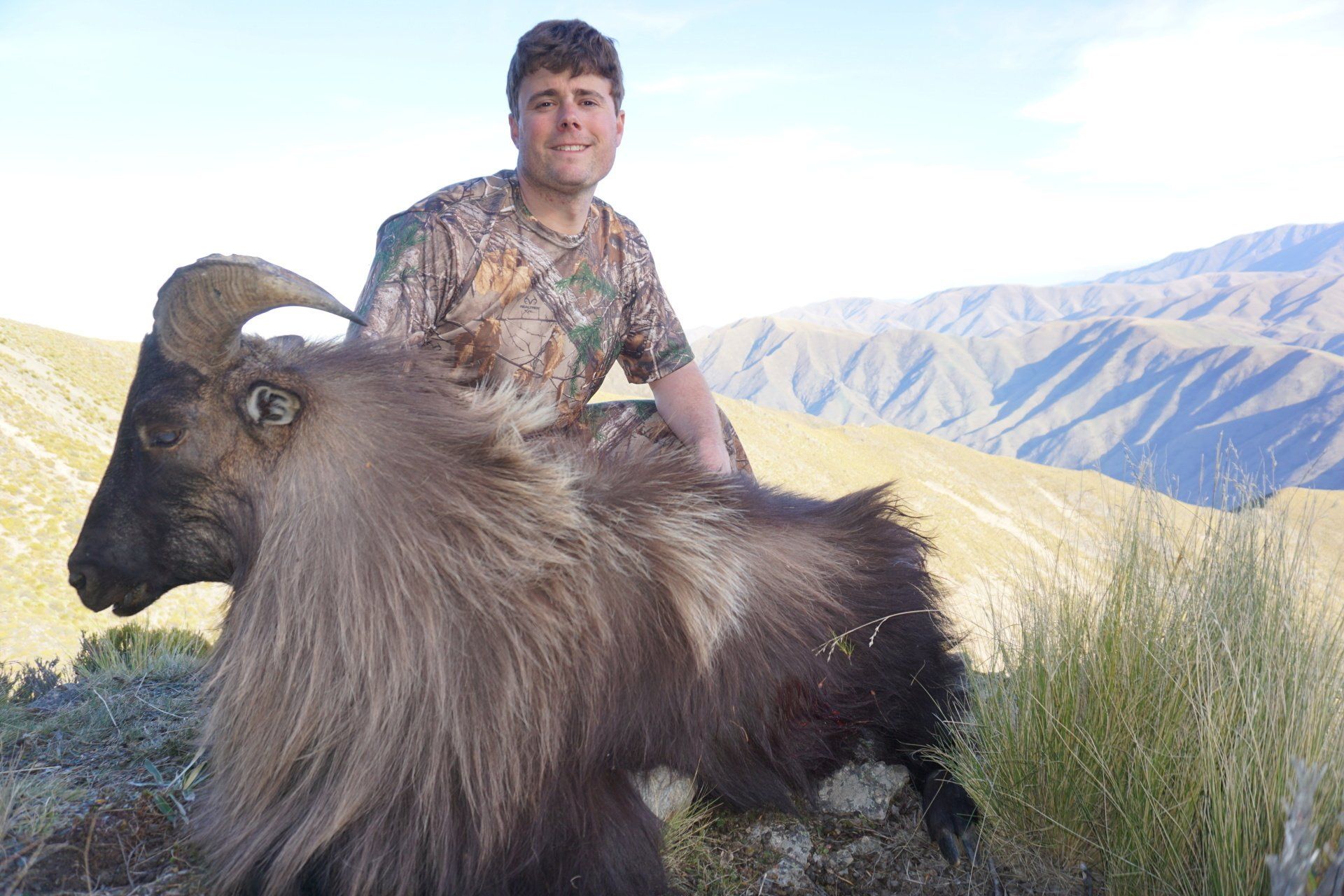 Hunt for Himalayan Tahr - Lochinvar Safaris New Zealand