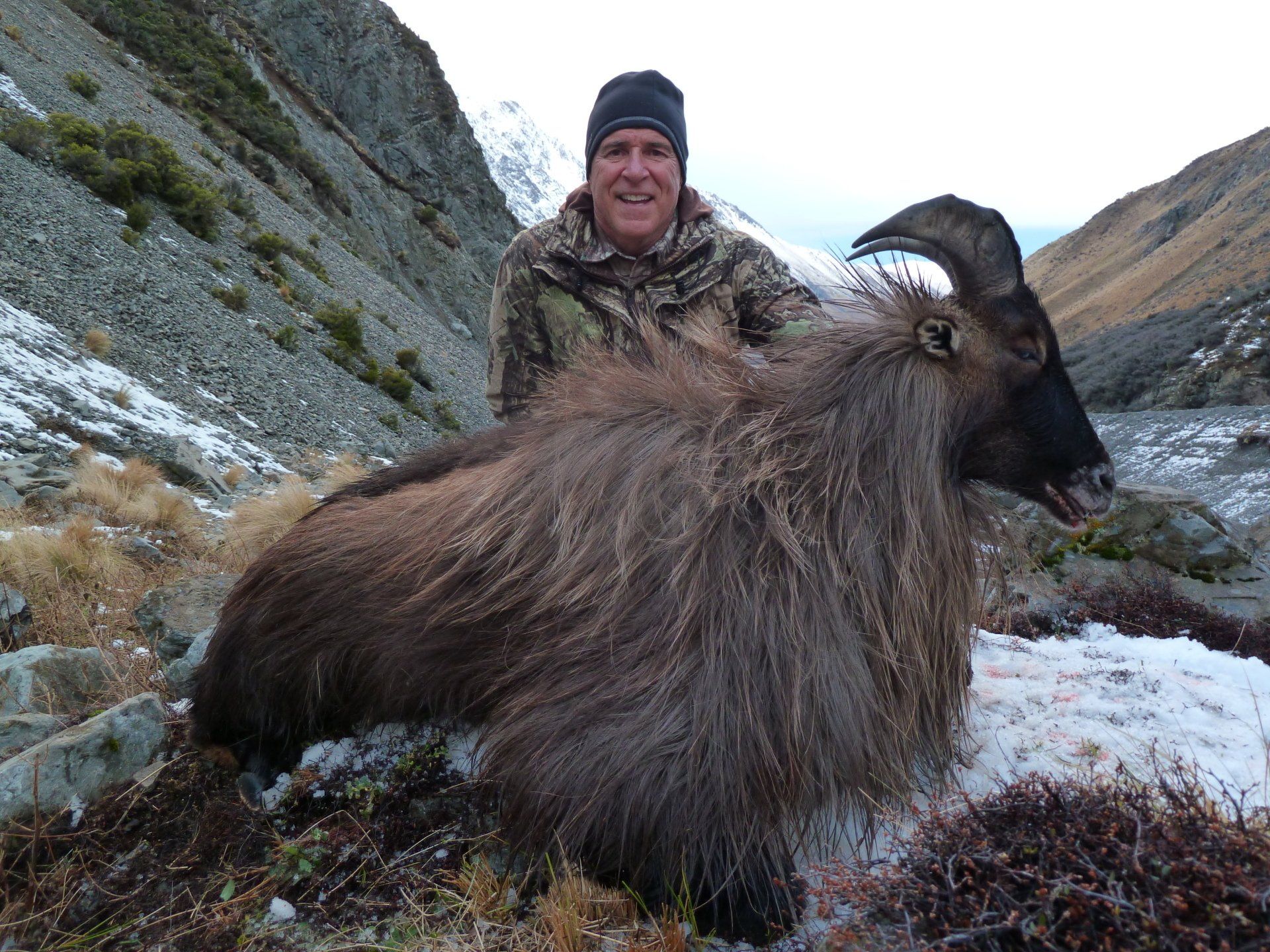 Hunt for Himalayan Tahr - Lochinvar Safaris New Zealand