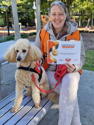 Grafton Dog Teams, Australia | Story Dogs