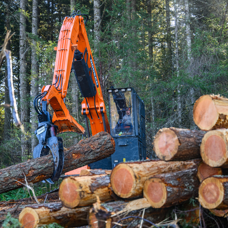 Logging Company in Oregon - Century Forest Management