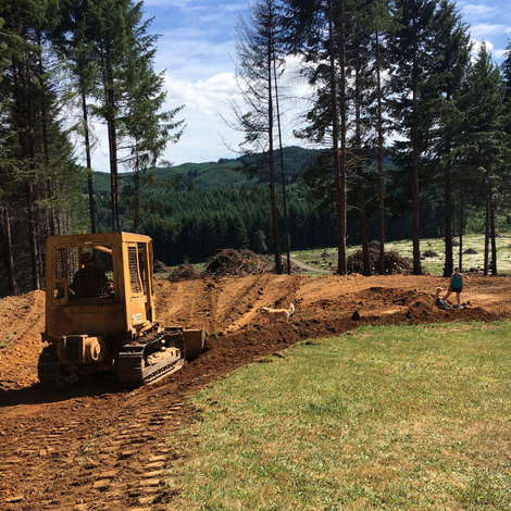 Logging Company in Oregon - Century Forest Management