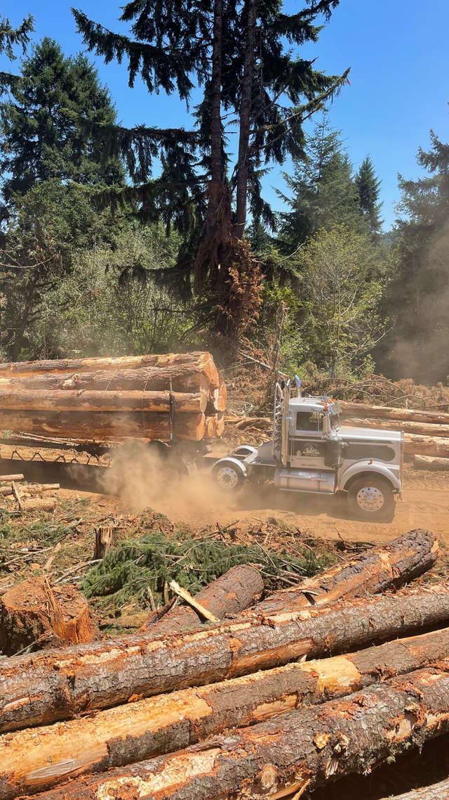 clearing timber