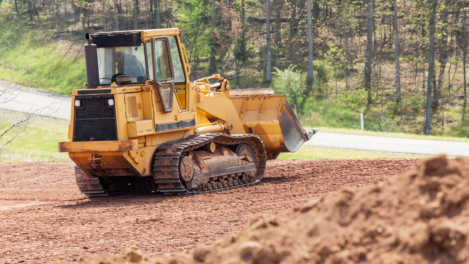 clearing timber land