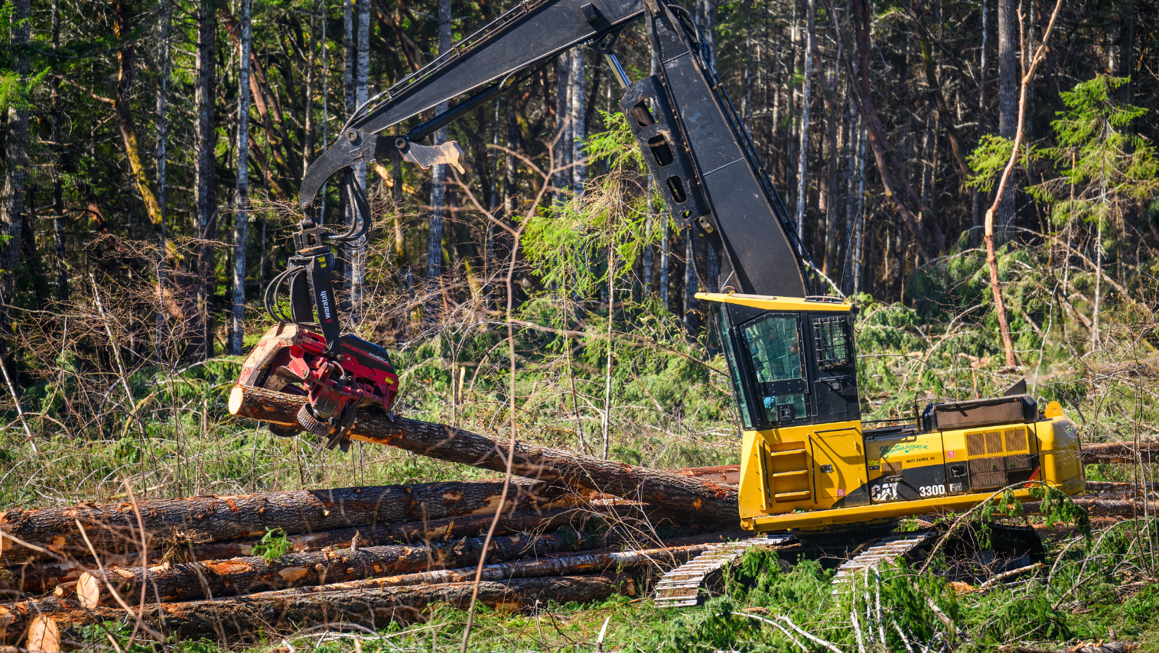 timber clearing equipment
