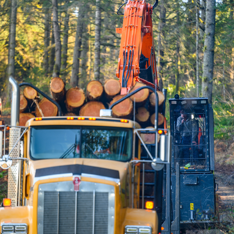 Logging Company in Oregon - Century Forest Management