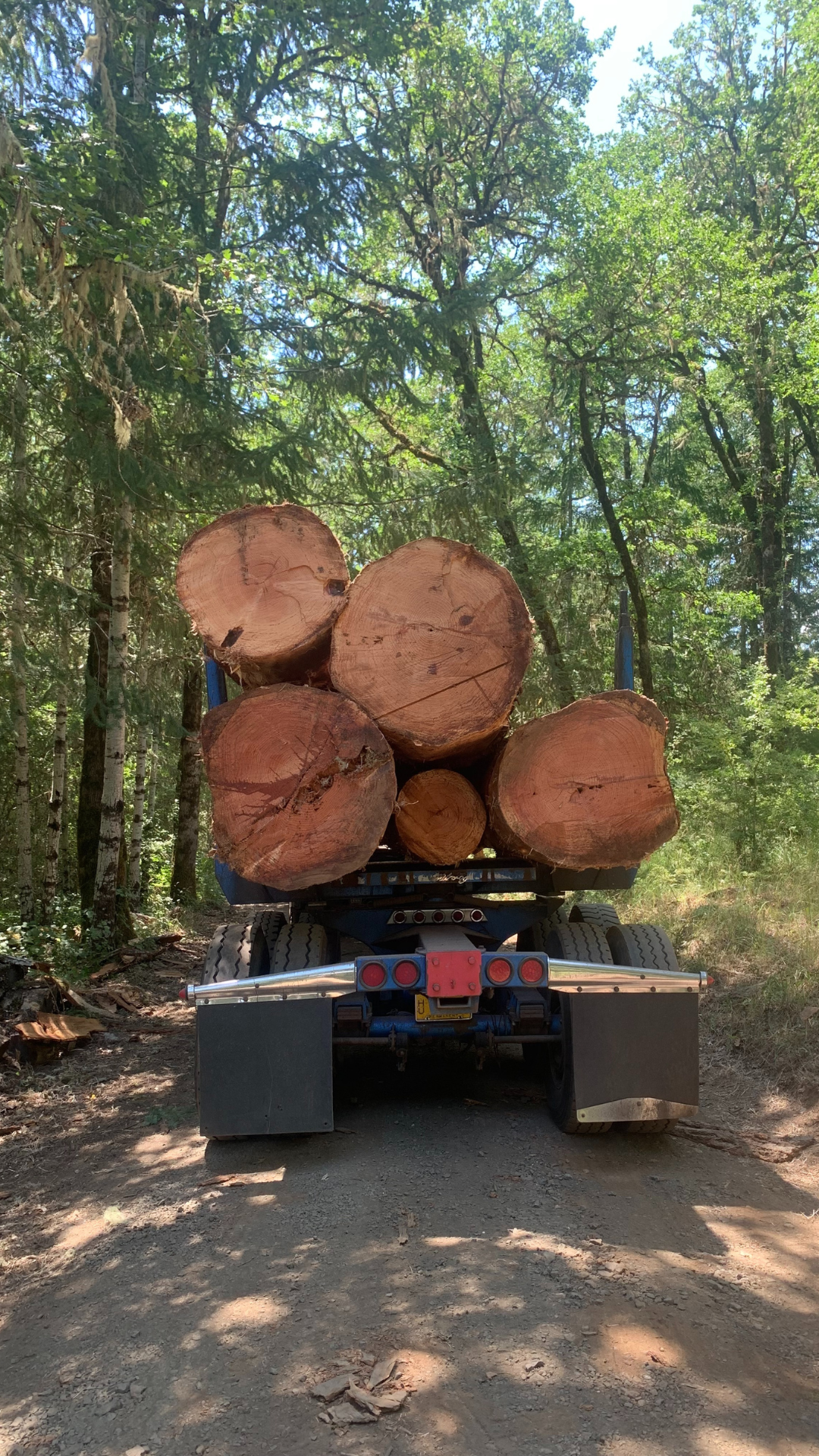 Log Hauling Services in Oregon - Century Forest Management