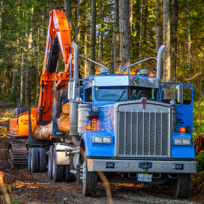 Logging Company in Oregon - Century Forest Management
