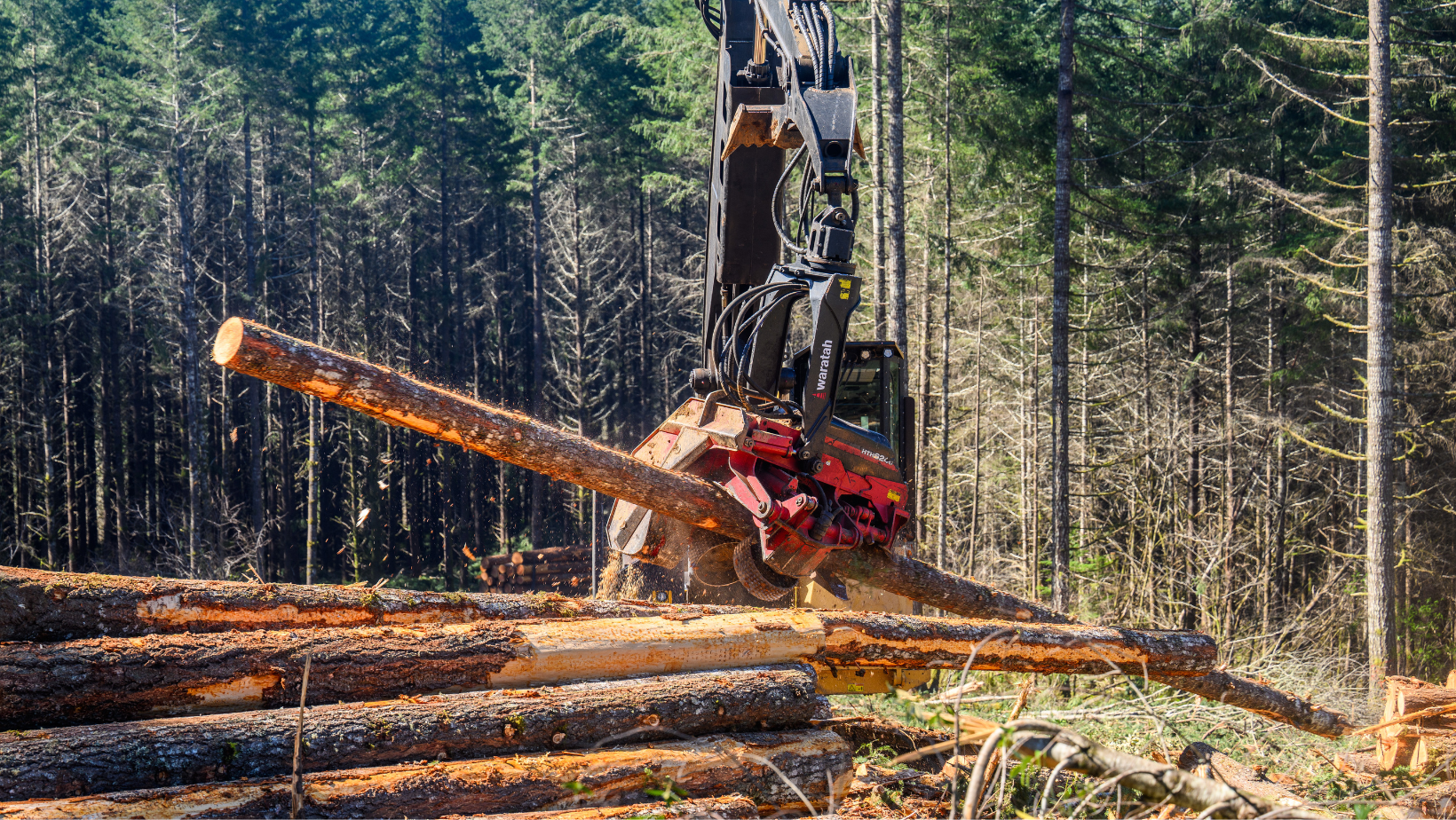 Logging Pnw