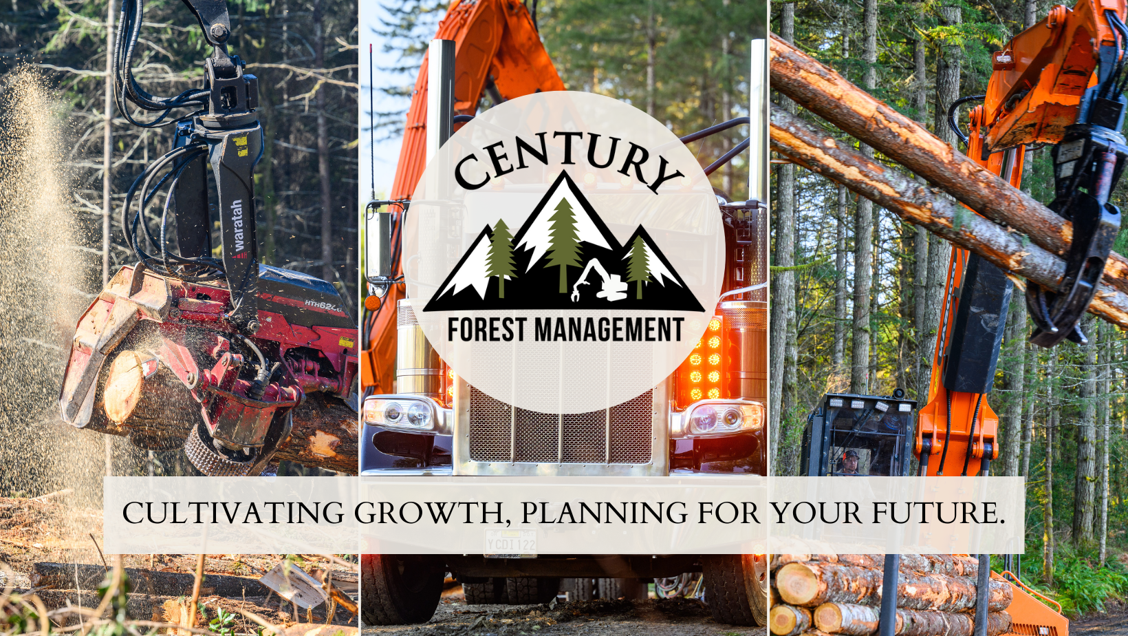 Logging Company in Oregon - Century Forest Management