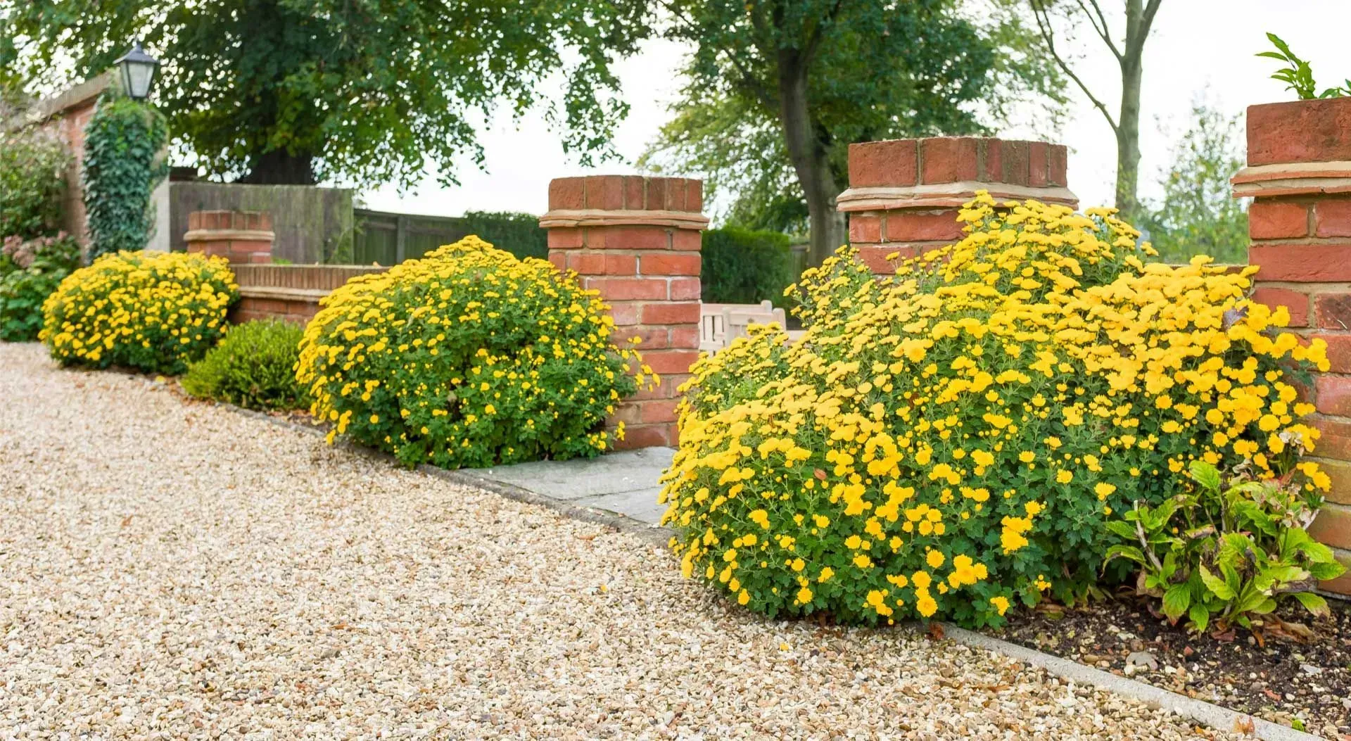 Creative Ideas for Using Your Leftover Aggregate Gravel