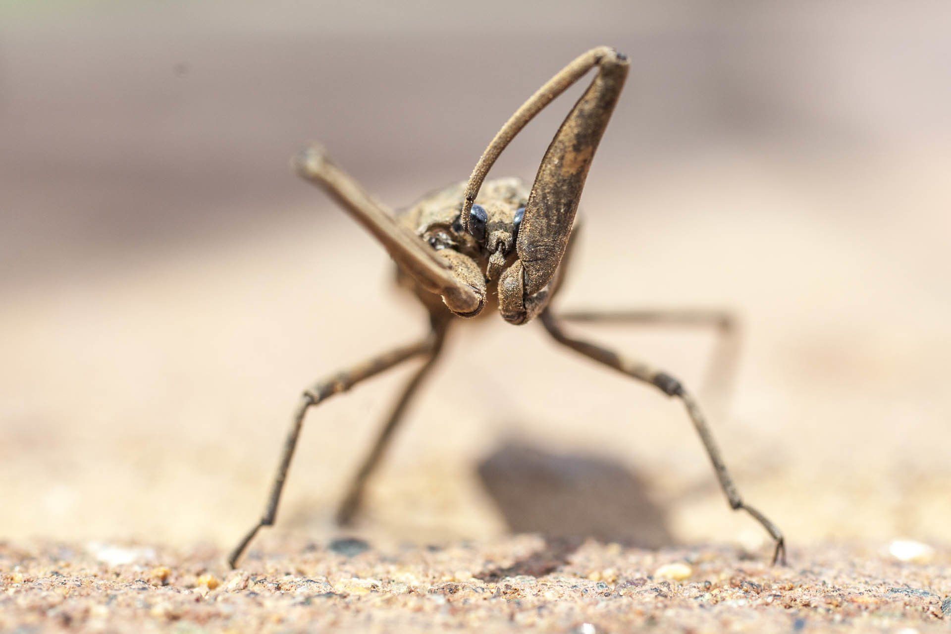 Aaron Gekoski - Award Winning Environmental Photojournalist