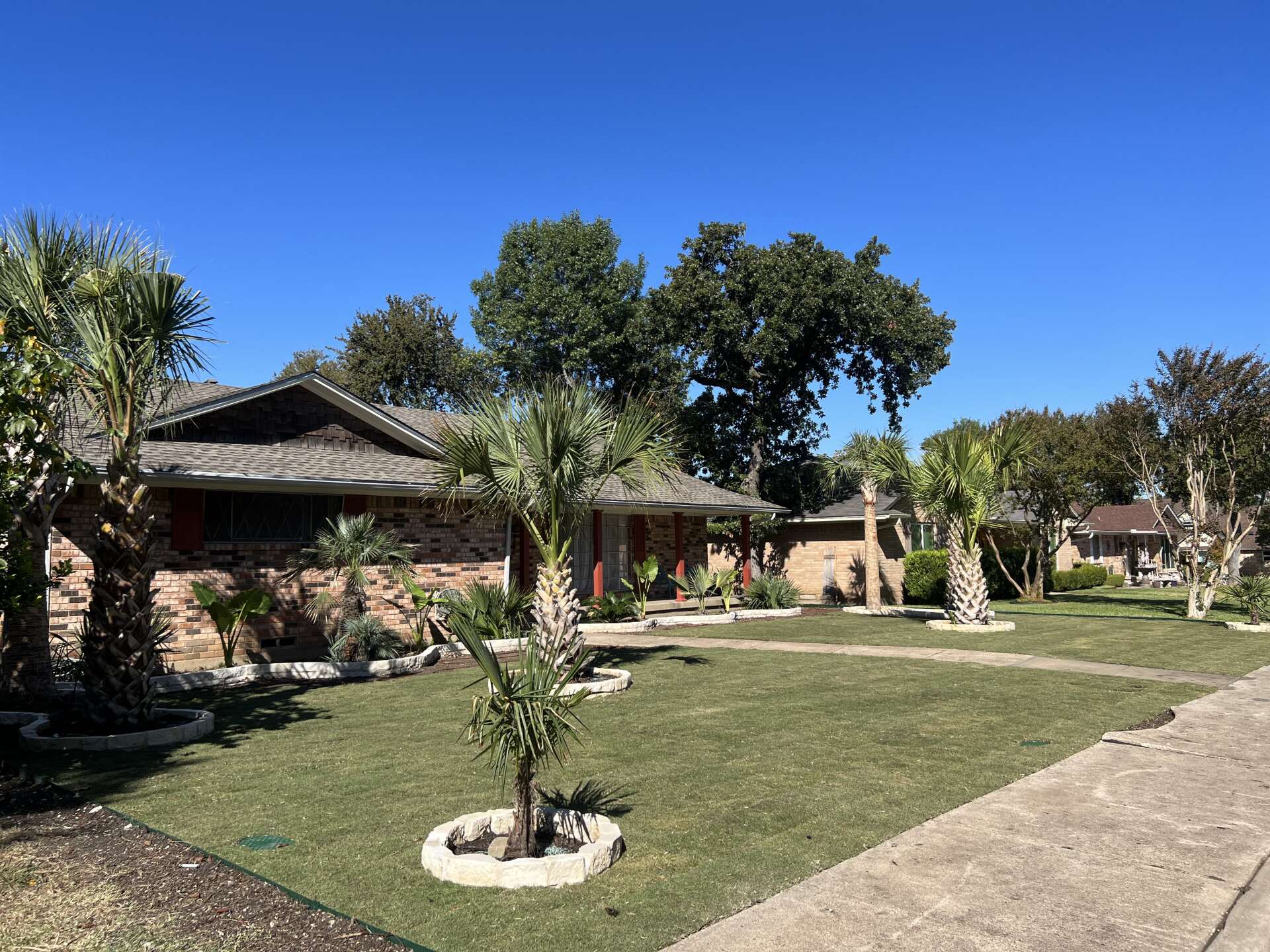Landscaping | Dallas, TX | Texas Palm Trees and Irrigation LLC