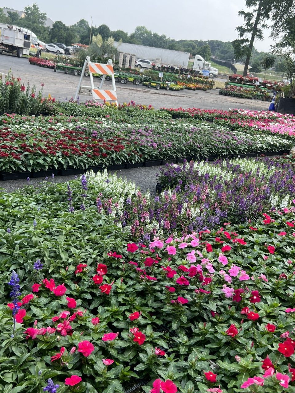 Landscaping | Dallas, TX | Texas Palm Trees and Irrigation LLC